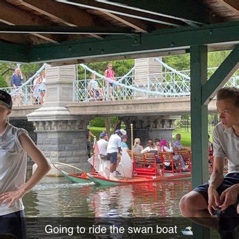 Swan Boats Of Boston Updated July 2026 274 Photos And 126 Reviews