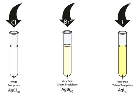 Testing For Halide Ions Gcse Chemistry Revision