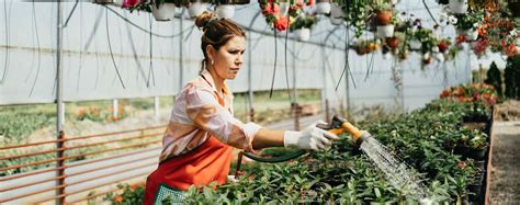 Chargeback Fraud What It Is How To Prevent And Fight It