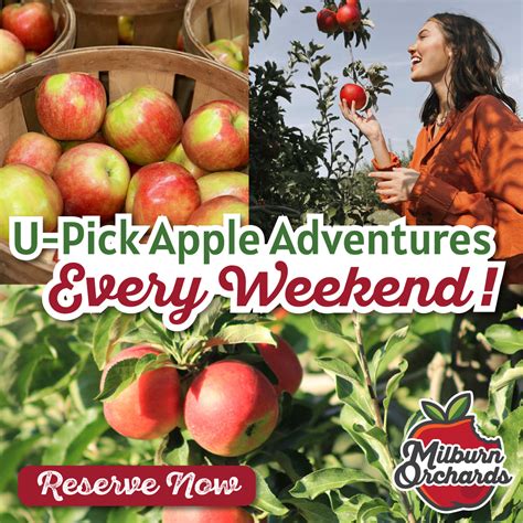 Milburn Orchards Its Autumn Colors Weekend Here At Milburns 🍂🍎🎃