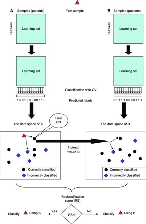 Schemata Of The Stepwise Classification Strategy Download Scientific