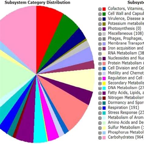 The Circular Genome Map Of Enterobacter Sp S 16 From The Outer Circle Download Scientific