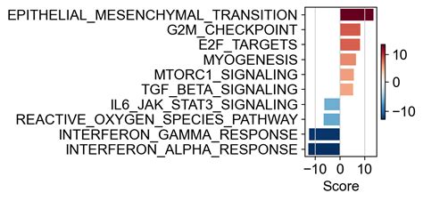 Bulk Enrichment Analysis — Decoupler