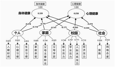 基于结构方程模型的大学生身心健康影响因素研究