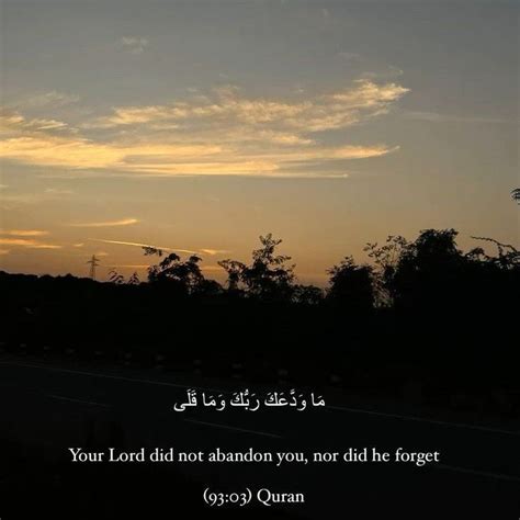 Your Lord ˹o Prophet˺ Has Not Abandoned You Nor Has He Become Hateful