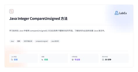 Java 整数比较 无符号值比较 Labex
