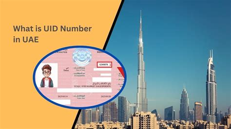 Uid Number Uae Complete Guide To The Unified Number