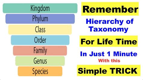 Memorize Hierarchy Of Taxonomy With This Simple Trick For Life Time