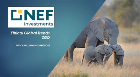 Fund Nef Ethical Global Trends Sdg ‹ Niche Asset Management