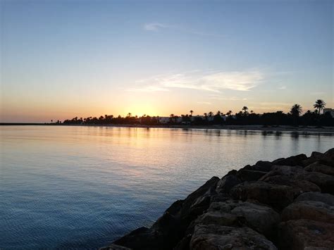 Raoudha Chamosi Metline