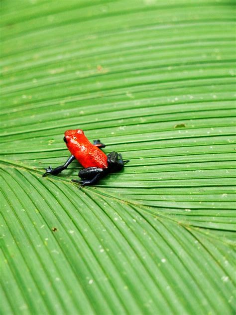 Applied Behavioral Science The Side Model Matt Wallaert