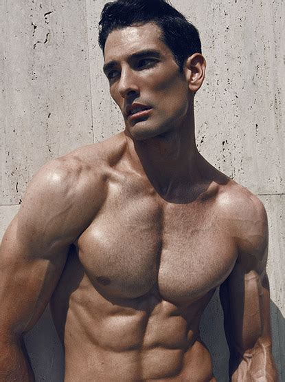 Eamonn Katter Viviens Models