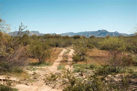 Creosote Forest Run Arizona Gps Trail Map Conditions And Difficulty