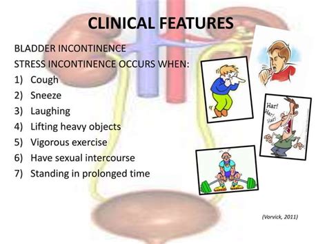 Incontinence Bowel And Bladder Pptx Sexual Conditions Sexual Health