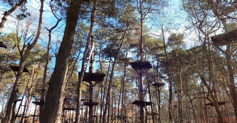 Vídeos De Stock Gratuitos Sobre Actividad Actividad Al Aire Libre Al Aire Libre Arboles Area