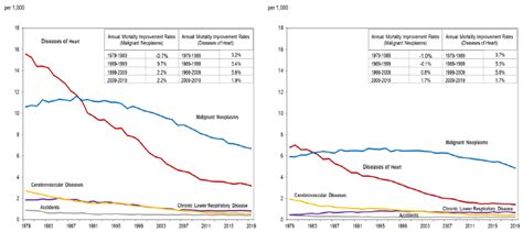 Mortality Projections For Social Security Programs In Canada Actuarial