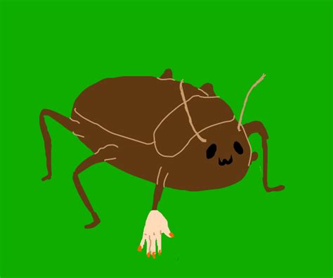 Cockroach Buying A Nail Drawception