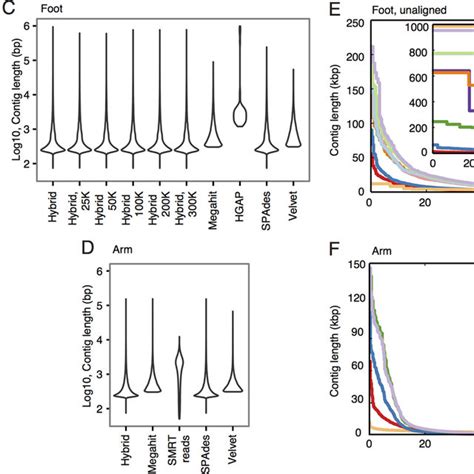 Metagenomic Assembly Comparisons Between Long Read Short Read And