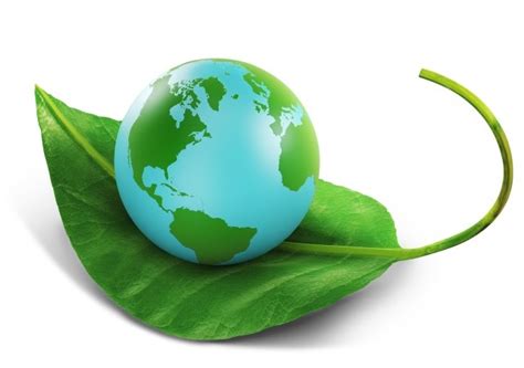 What Is The Meaning Of Environmental Theory Bms Bachelor Of