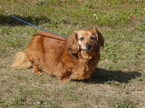 David Heimbecker Flickr