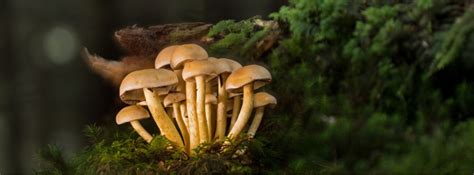 Classify And Control Part Two Medium