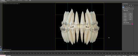 Human Teeth Tooth By Criismora 3docean