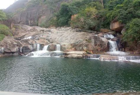 Tourists Are Prohibited From Visiting The Agasthyar Falls Area