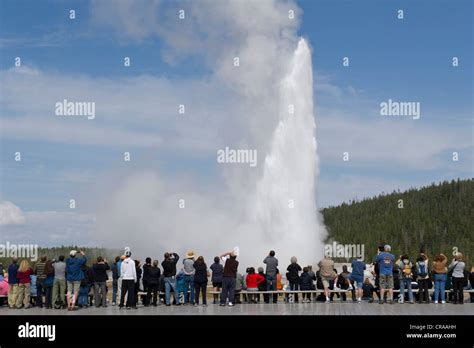 Old Faithful Geyser Yellowstone National Park Wyoming Usa Stock