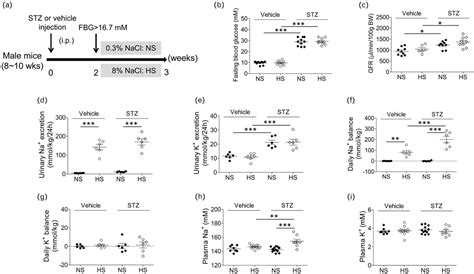 Kir4 1 Deletion Prevents Salt Sensitive Hypertension In Earl