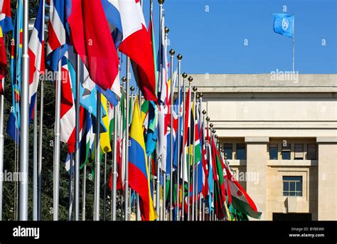 Un Flag Photo
