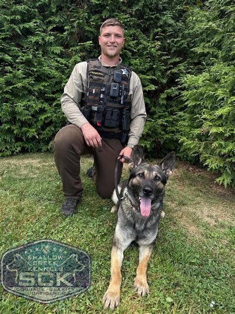 Mckenzie We Are Excited To Welcome Our Newest Department Member K9