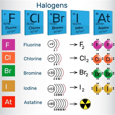 Inorganic Chemistry Group 717 The Halogens