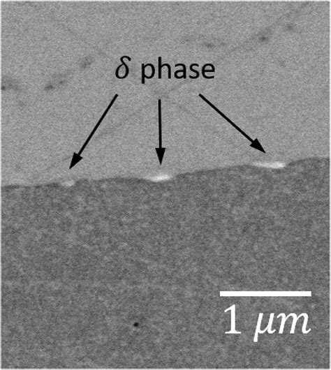 Delta Phase Observed At Grain Boundaries Download Scientific Diagram