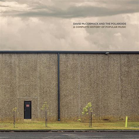 When Did David Mccormack And The Polaroids Release A Complete History Of Popular Music