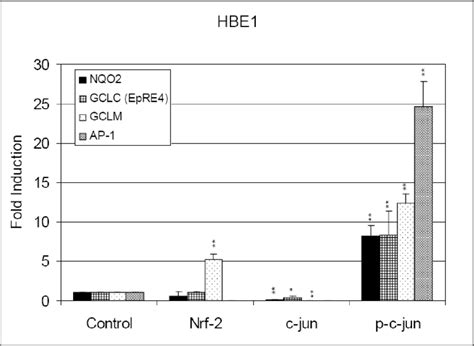 Figure 3 From The Role Of C Jun Phosphorylation In Epre Activation Of