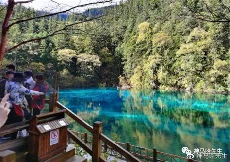九寨沟游玩攻略及详细路线、注意事项分享，第一次来你需要了解的 四川省 长海 箭竹海 大熊猫 九寨沟景区 新浪新闻
