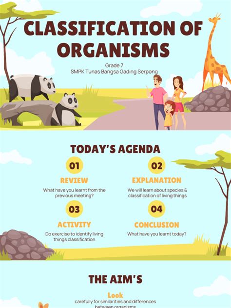 Grouping And Identifying Organisms Classification Of Organisms And Keys Pdf Plants Mollusca