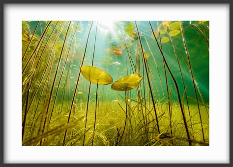 Underwater And Landscape Imaging From Around The World