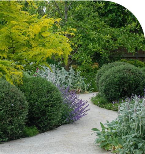 Landscape Design Sunshine Coast │waddell Landscape Design And Construction