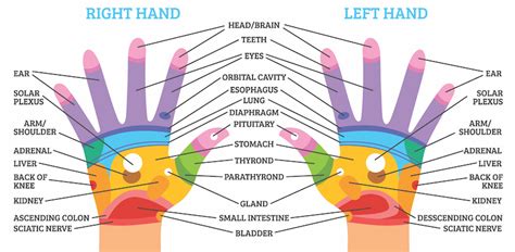 Hand Massage Techniques