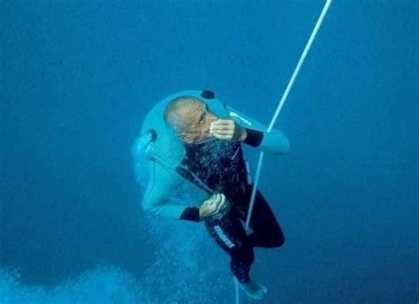 Attention Humans Italian Diver Enzo Maiorca While Diving Into The