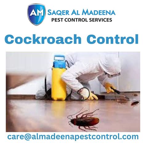 Cockroach Control Almadeenpestcontrol Medium