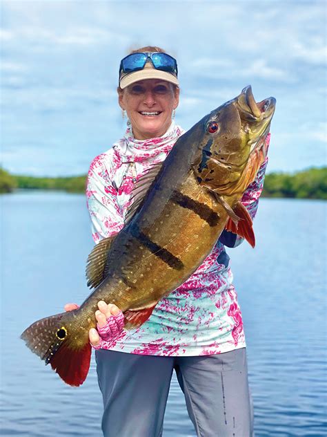 Brazil Peacock Bass Fishing