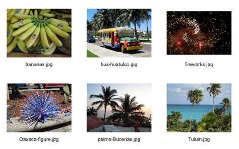 How To Create Contact Sheets Using Photoshop Creative Bloq