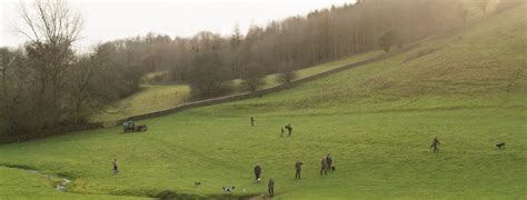 Nith Valley Sporting Roxtons