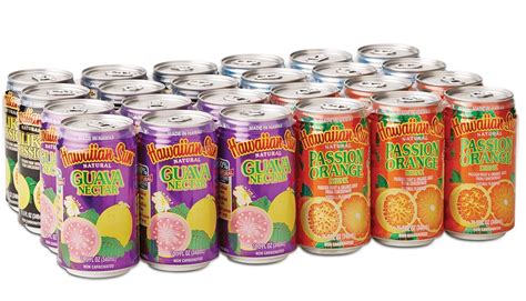 Hawaiian Sun Tropical Fruit Drinks 115 Fl Oz Cans