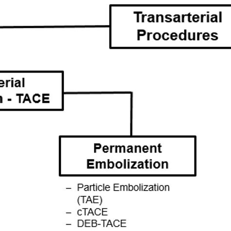 Schematic Overview Of Transarterial Embolization Techniques Download