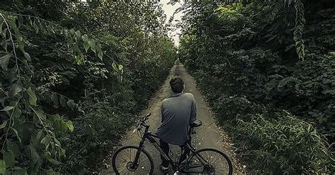 Forest Album On Imgur