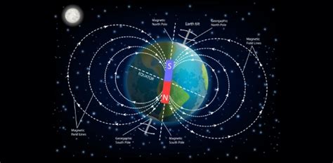 Exploring The Cataclysmic Pole Shift Hypothesis Quiz Quiz