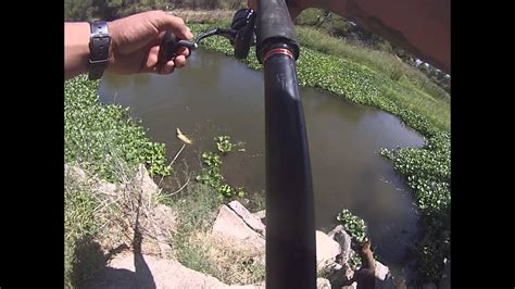 Carp Fishing San Joaquin River Youtube